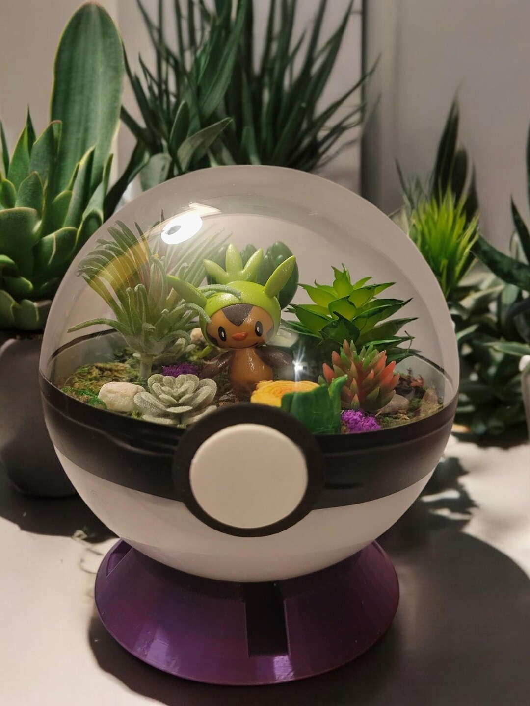 Handmade Pokemon Pokeball Terrarium, Charmander, Squirtle, Eevee ...