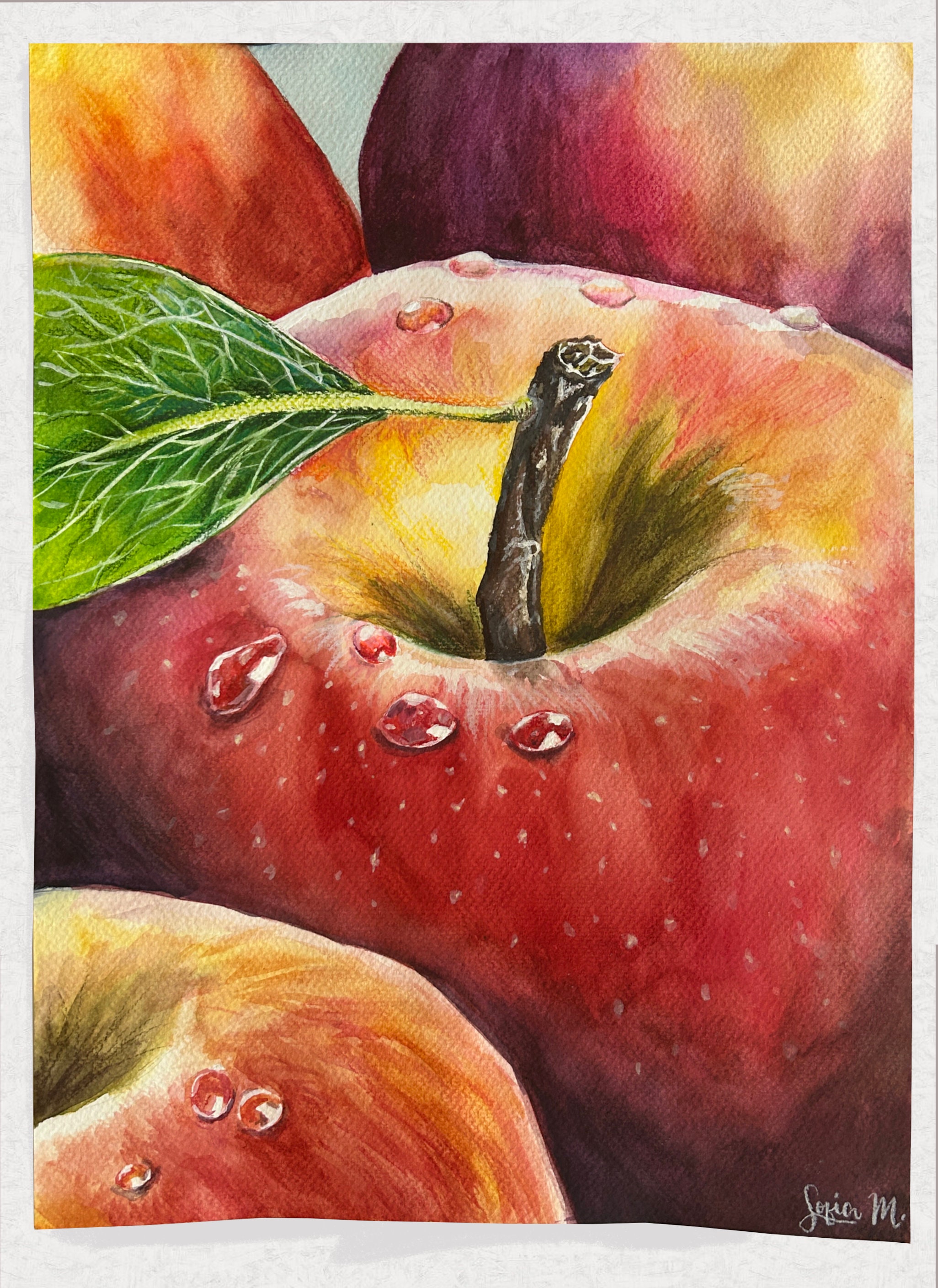 Fresh Dew on Harvest Apples: A Handmade Watercolor Painting - Etsy