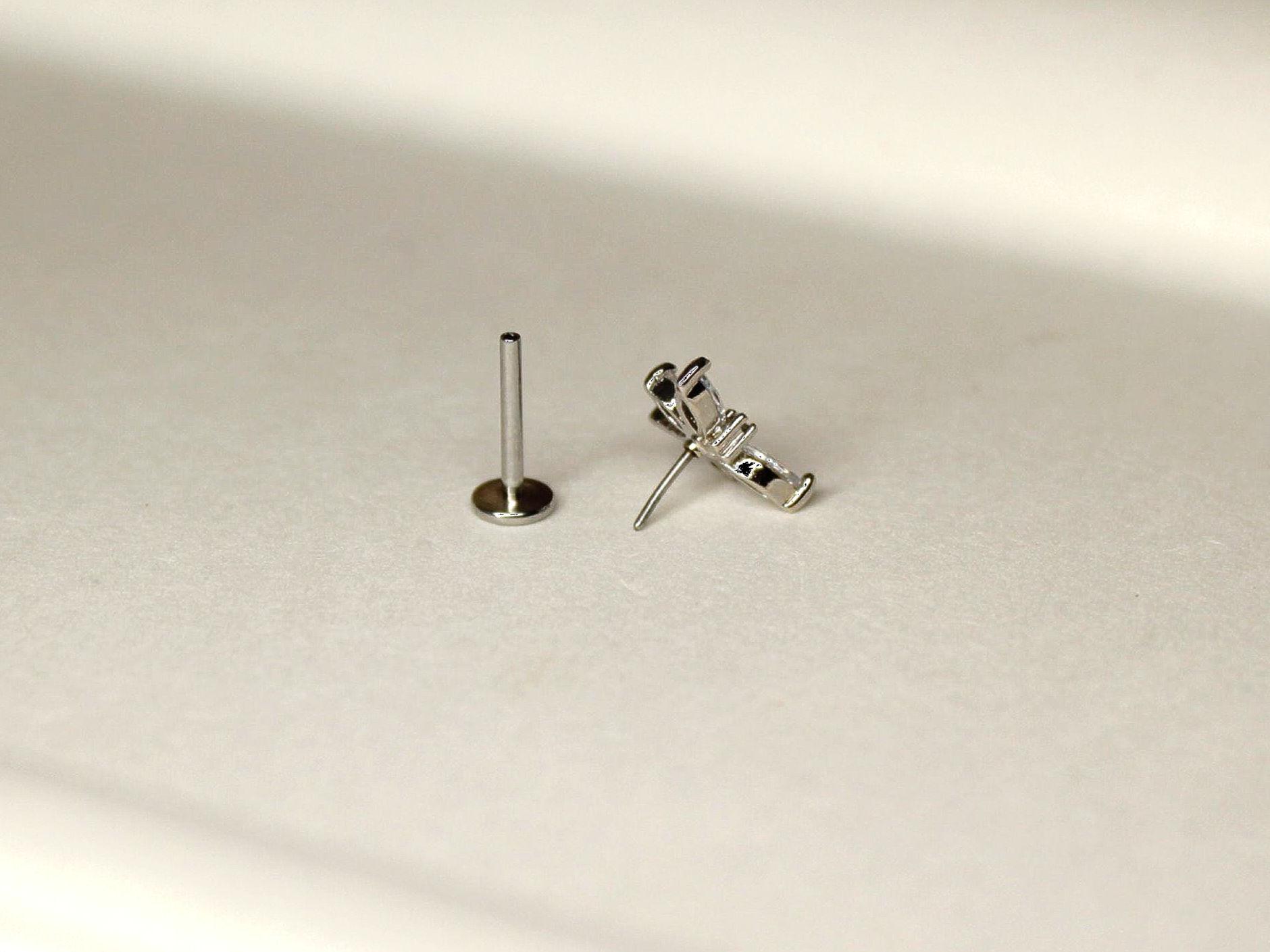 18G Threadless Silver Dragonfly Push Pin Labret Stud, Implant Grade ...
