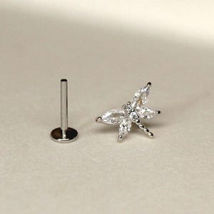 18G Threadless Silver Dragonfly Push Pin Labret Stud, Implant Grade Titanium 8mm Flat Back ...