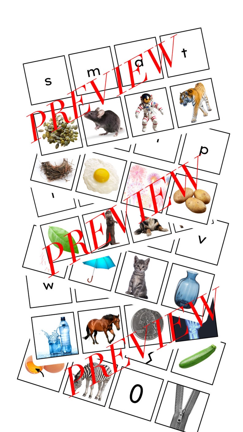 Letter Sound Sorting - Etsy