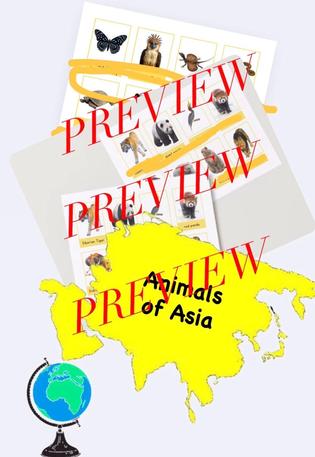 Animals of Asia 3-part Cards - Etsy