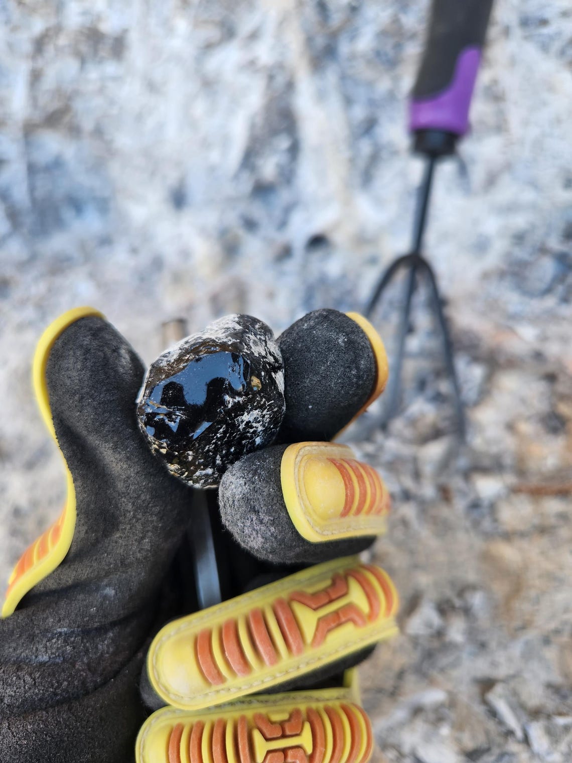 Obsidian "apache Tears" Tumbled Earrings From Arizona - Etsy