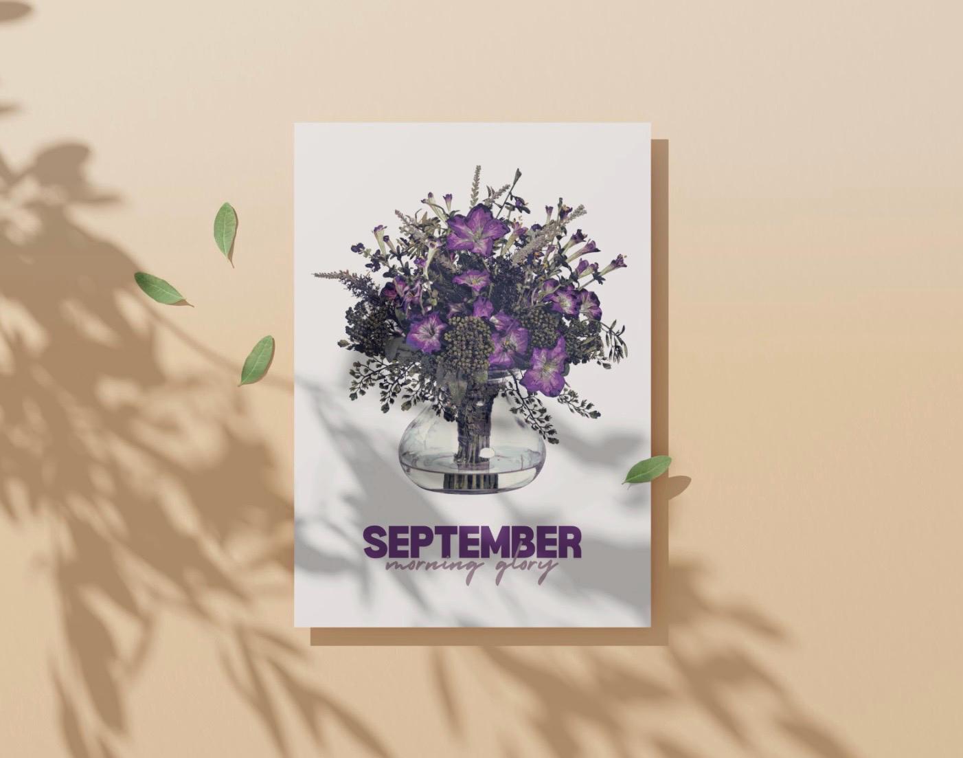 September Birth Flower Poster Morning Glory, September Birthday Morning ...