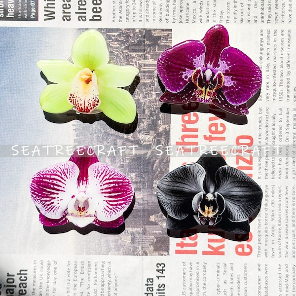 Orchid Phone Popsocket - Etsy