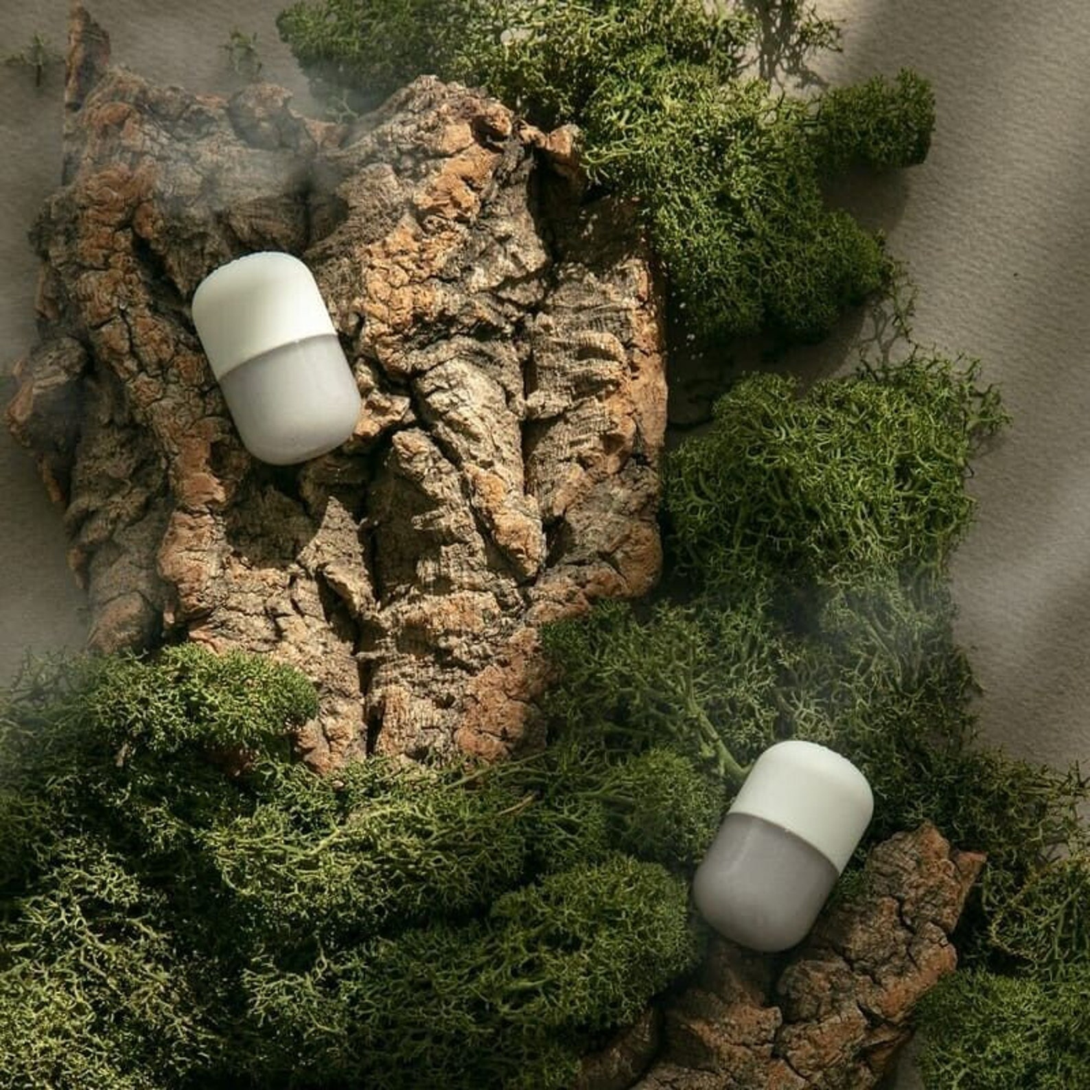 SH!FT Vitamins Shower Scent Capsules - Etsy