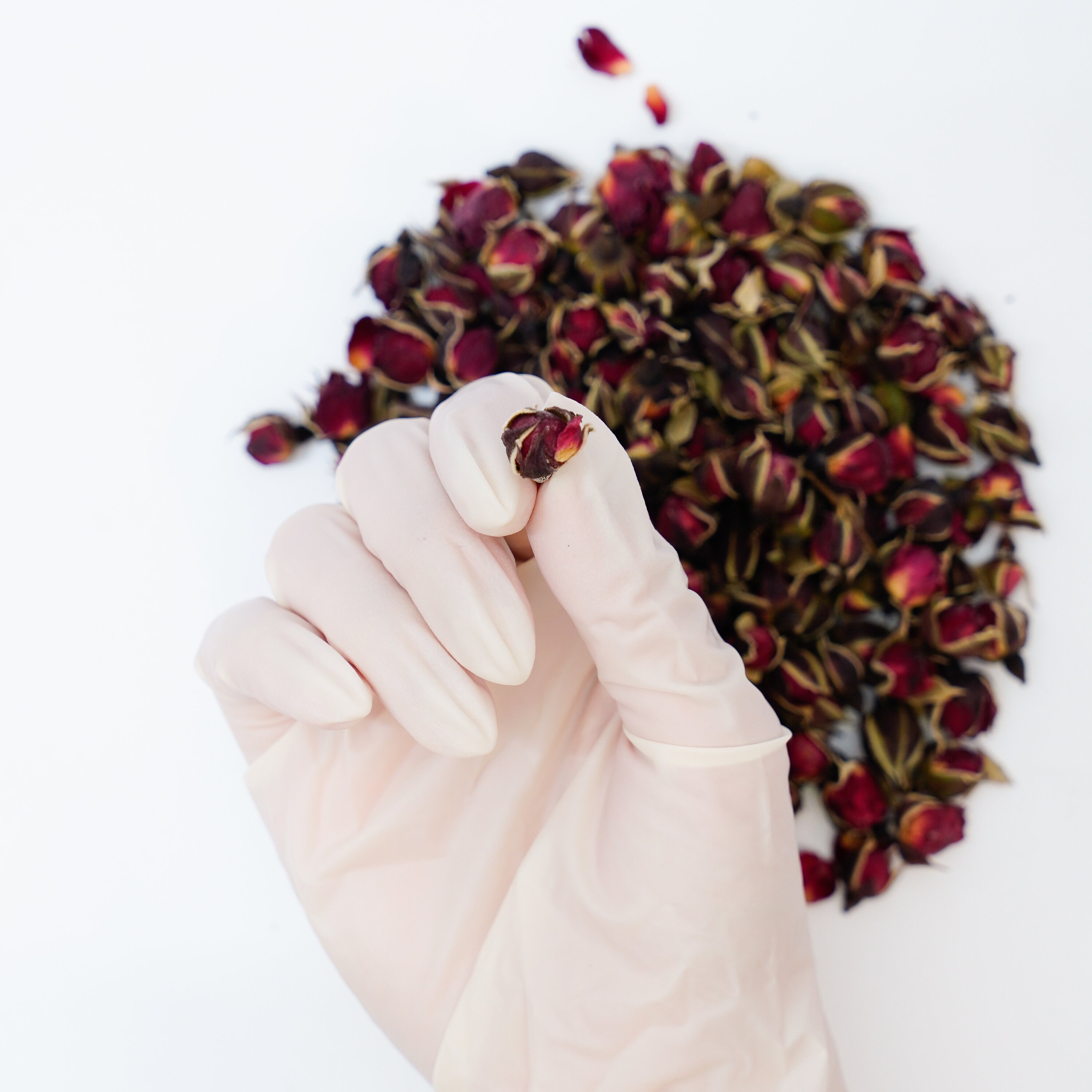 Rose Buds | Flos Rosae Rugosae | 玫瑰花蕾 | Mei Gui Hua | Trà Nụ Hoa Hồng ...