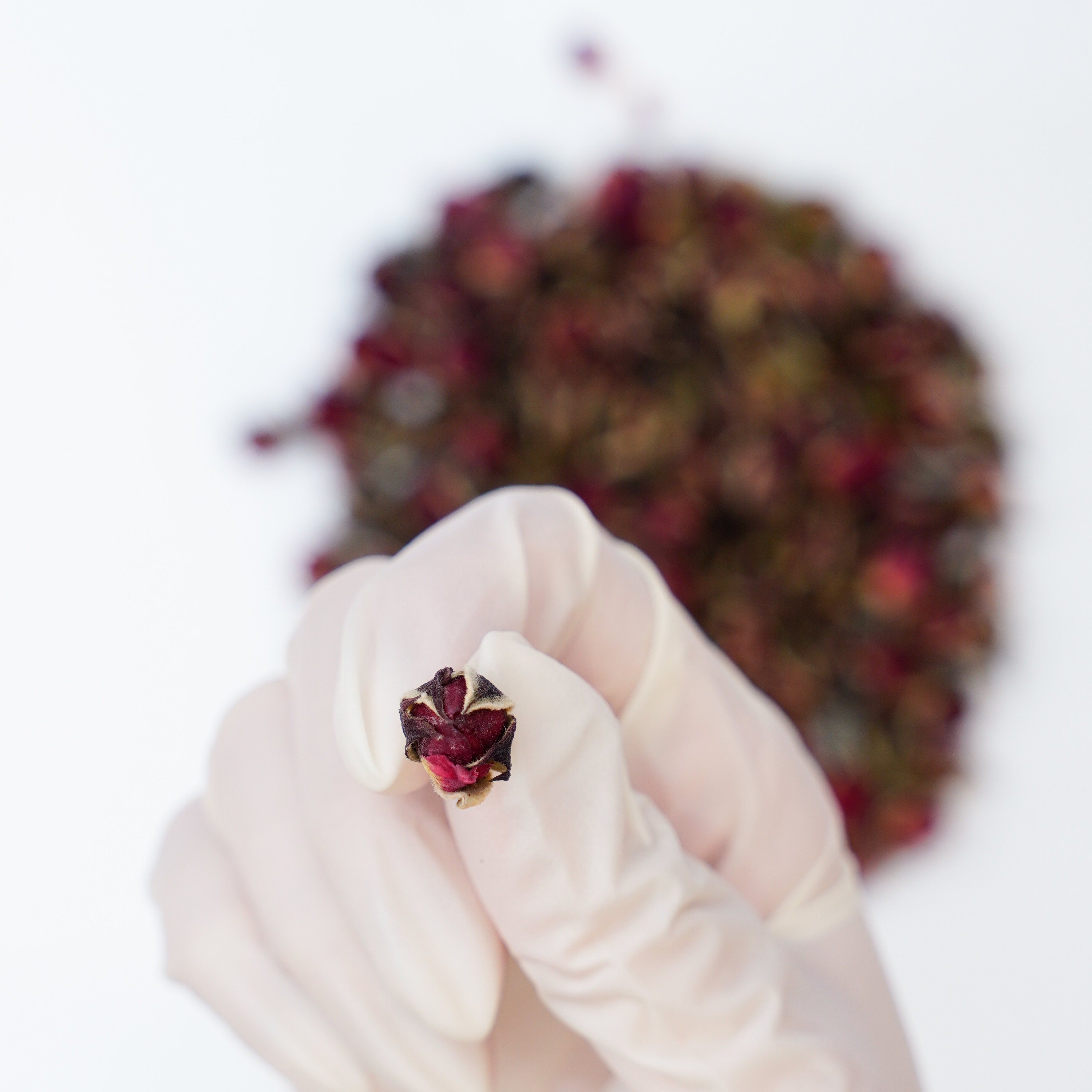 Rose Buds | Flos Rosae Rugosae | 玫瑰花蕾 | Mei Gui Hua | Trà Nụ Hoa Hồng ...