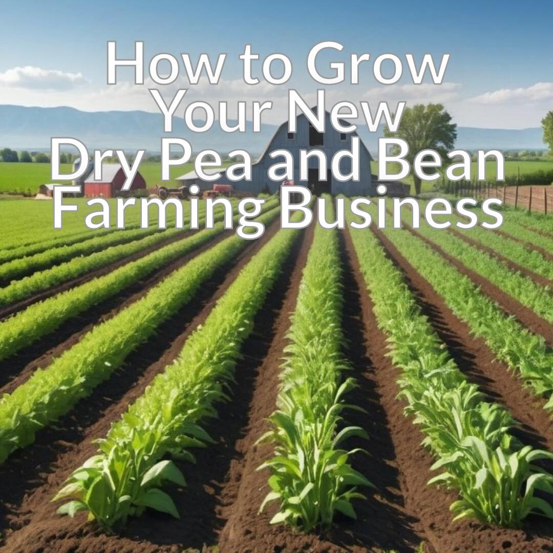 How to Grow Your New Dry Pea and Bean Farming Business - Etsy