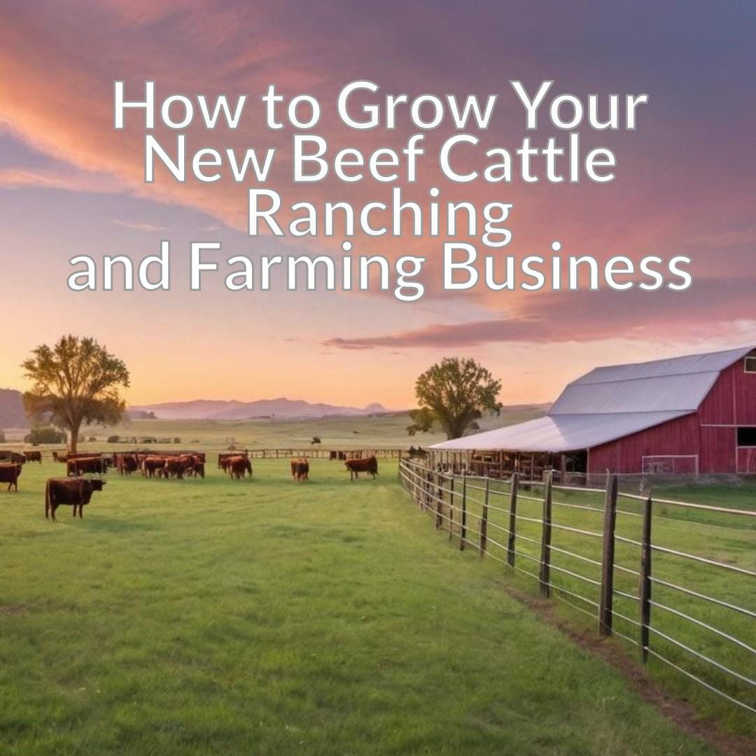 How to Grow Your New Beef Cattle Ranching and Farming Business - Etsy