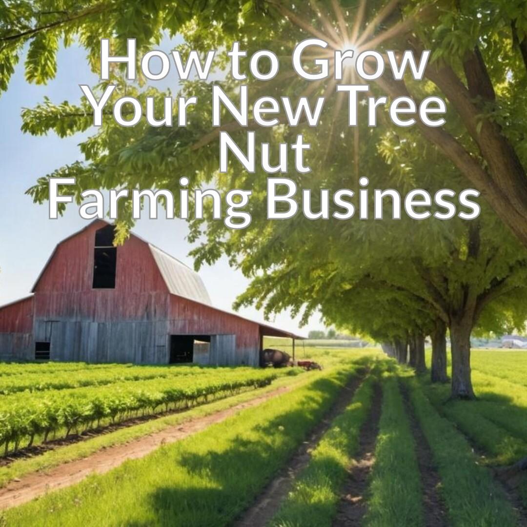 How to Grow Your New Tree Nut Farming Business - Etsy