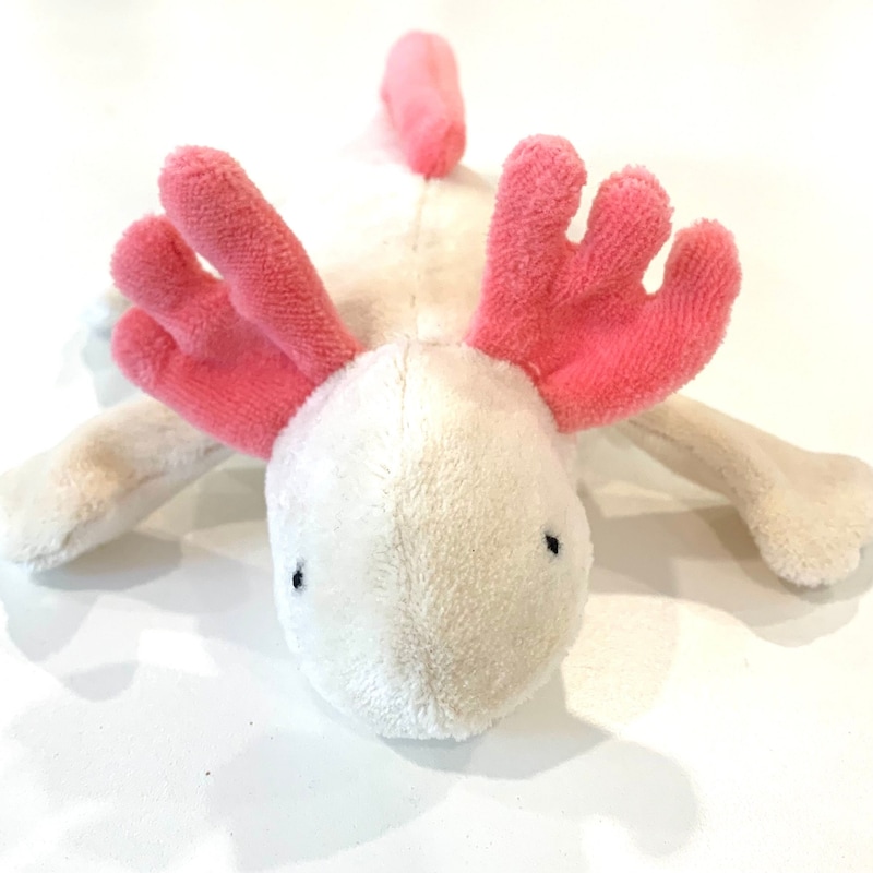 Axolotl Stuffy - Etsy