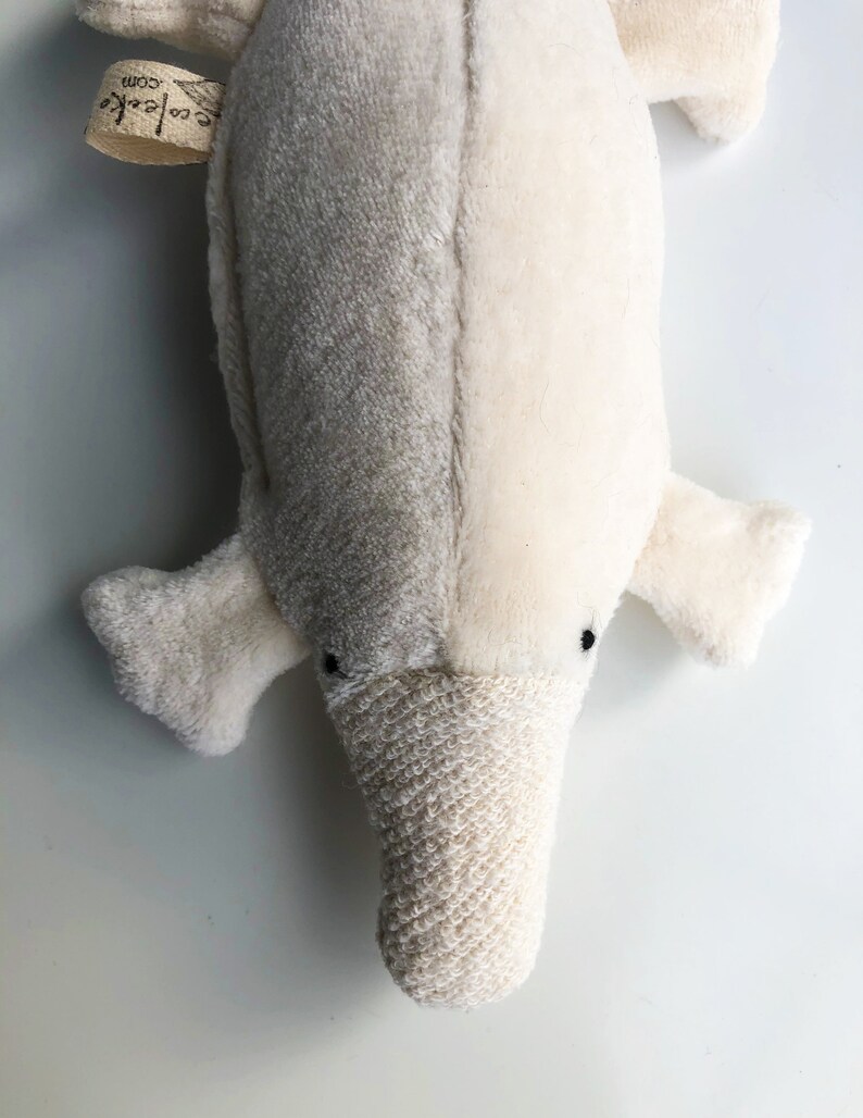 Organic Platypus Plush Eco Friendly Stuffed Animal Australian - Etsy