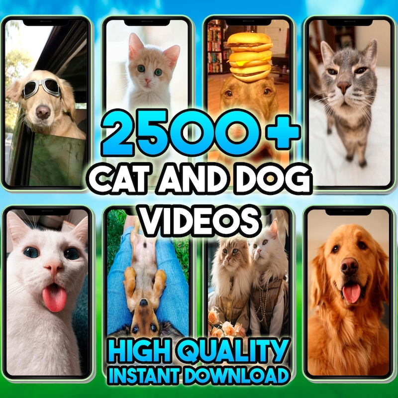 Youtube Kitten - Etsy UK