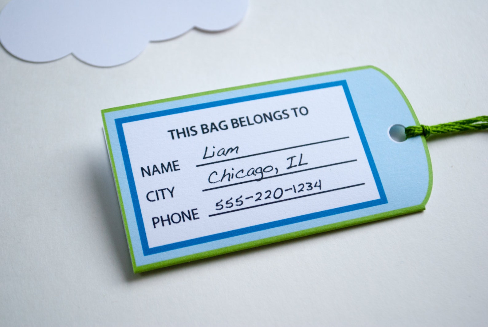 Airplane Favor Bag Tags Printable PDF | Luggage Tags for Goodie Bags ...