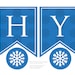 Frozen Banner Printable | Frozen Theme Birthday Party | Personalized ...