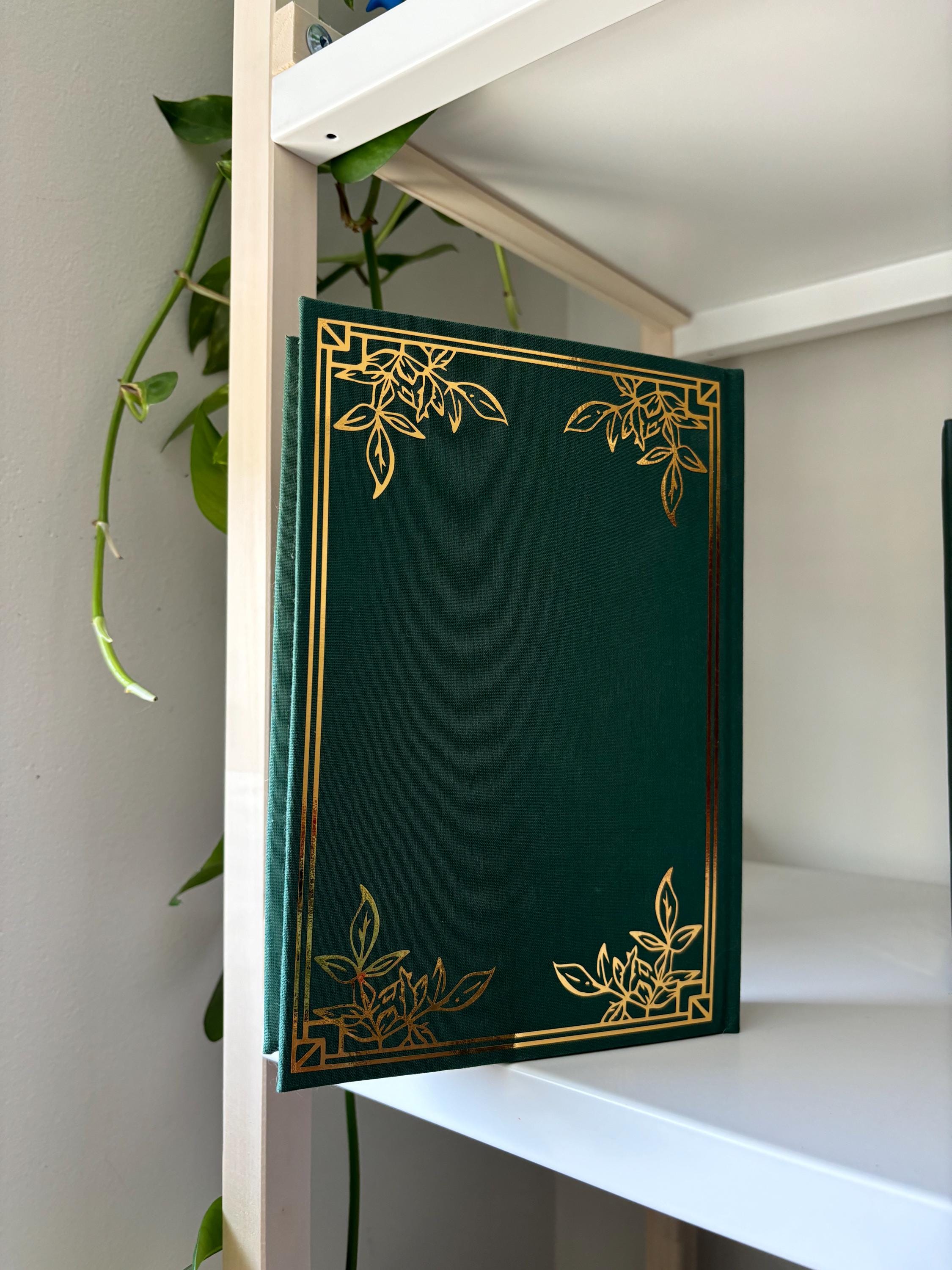 The Assassin's Blade Bookbinding Cover Design PNG Digital File, Throne ...