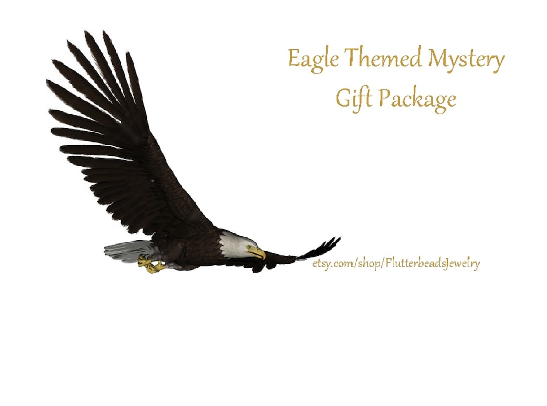 Eagle Themed Mystery Package, Mixed Items, Necklaces, Charms, Eagle ...