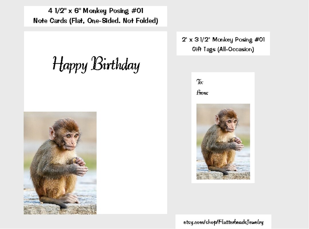 Monkey Posing Set 01 Flat Note Cards, Gift Tags, 4 X 5 3/4 Prints ...