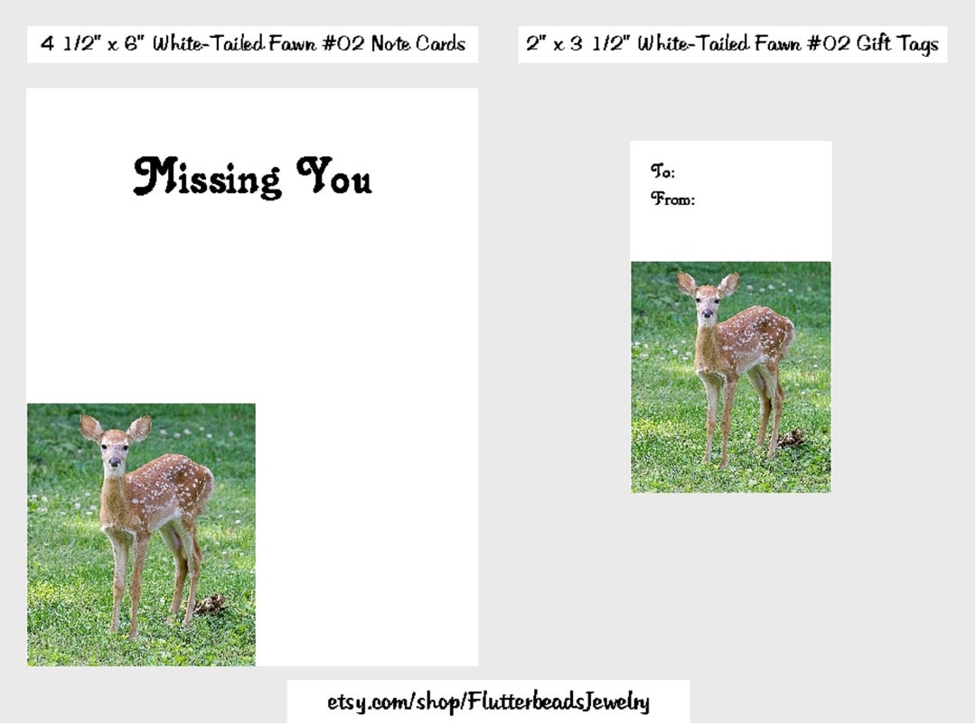 White-tailed Fawn Set 02 Flat Note Cards, Gift Tags, 4 3/8 X 5 Prints ...