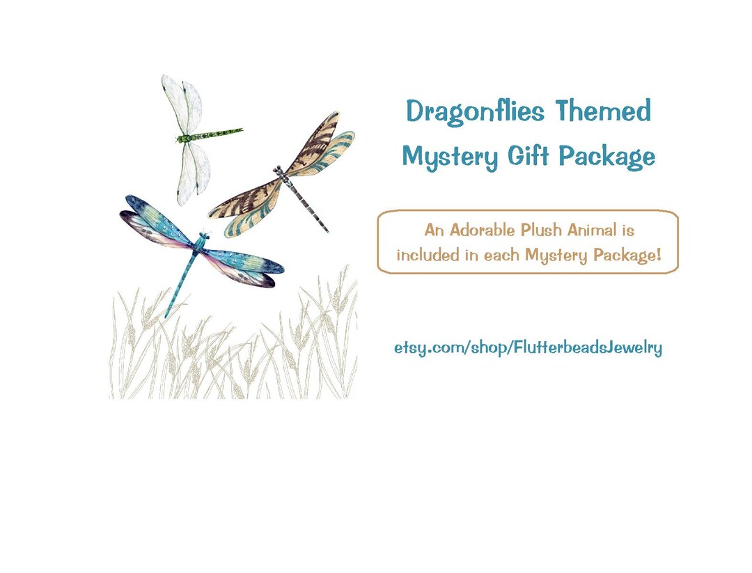 Dragonfly Themed Mystery Package, Mixed Items, Jewelry, Stationery ...