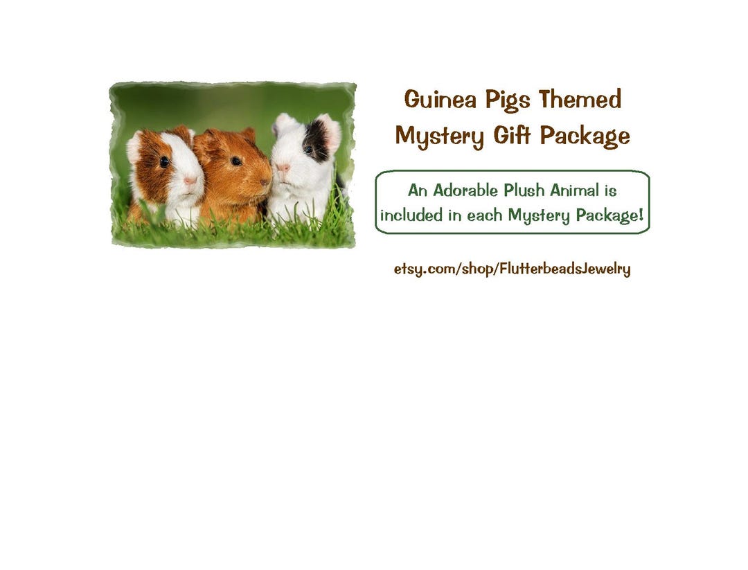 Guinea Pigs Themed Mystery Package, Mixed Items, Necklaces, Plush ...