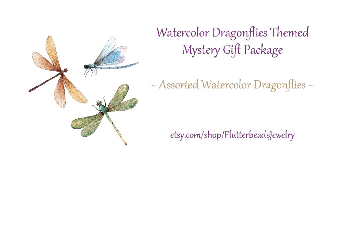 Watercolor Dragonflies Themed Mystery Packages, Assorted Dragonflies ...