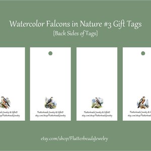 Watercolor Falcons in Nature Gift Tags #3, Four Beautiful Watercolor ...