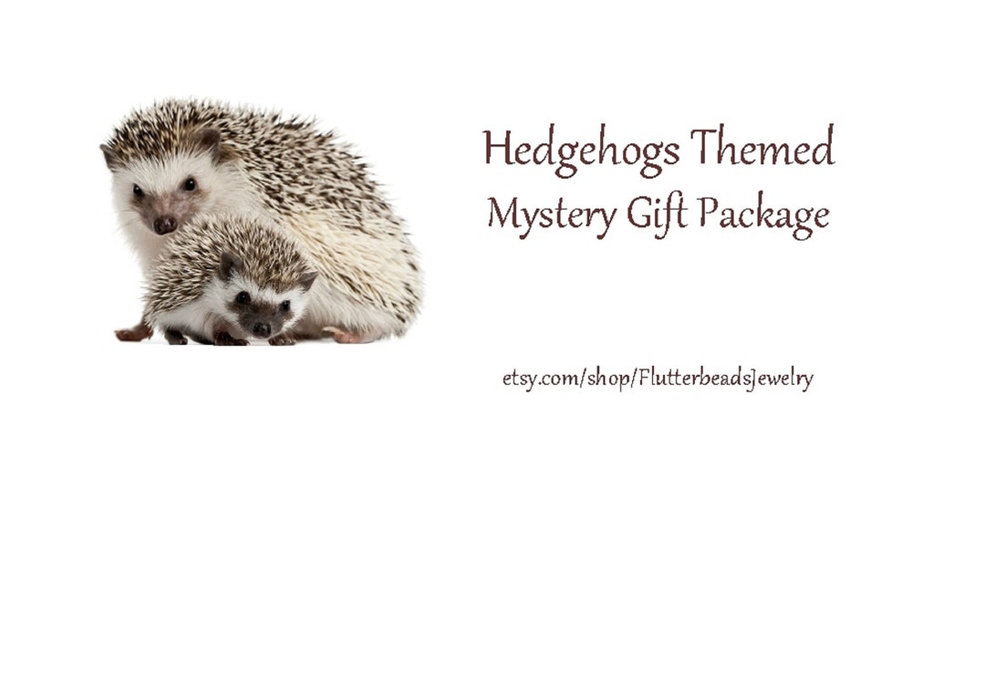Hedgehogs Themed Mystery Package, Mixed Jewelry and Stationery Items ...