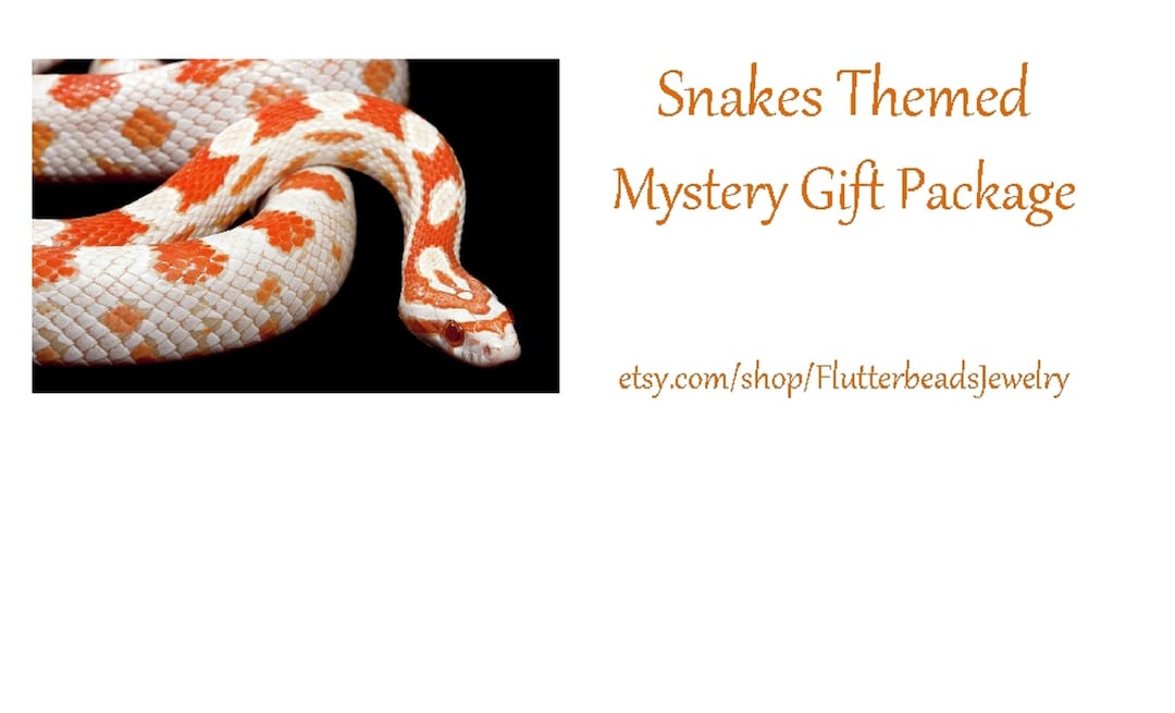 Snakes Themed Mystery Package, Mixed Items, Pendant Necklaces, Charms ...
