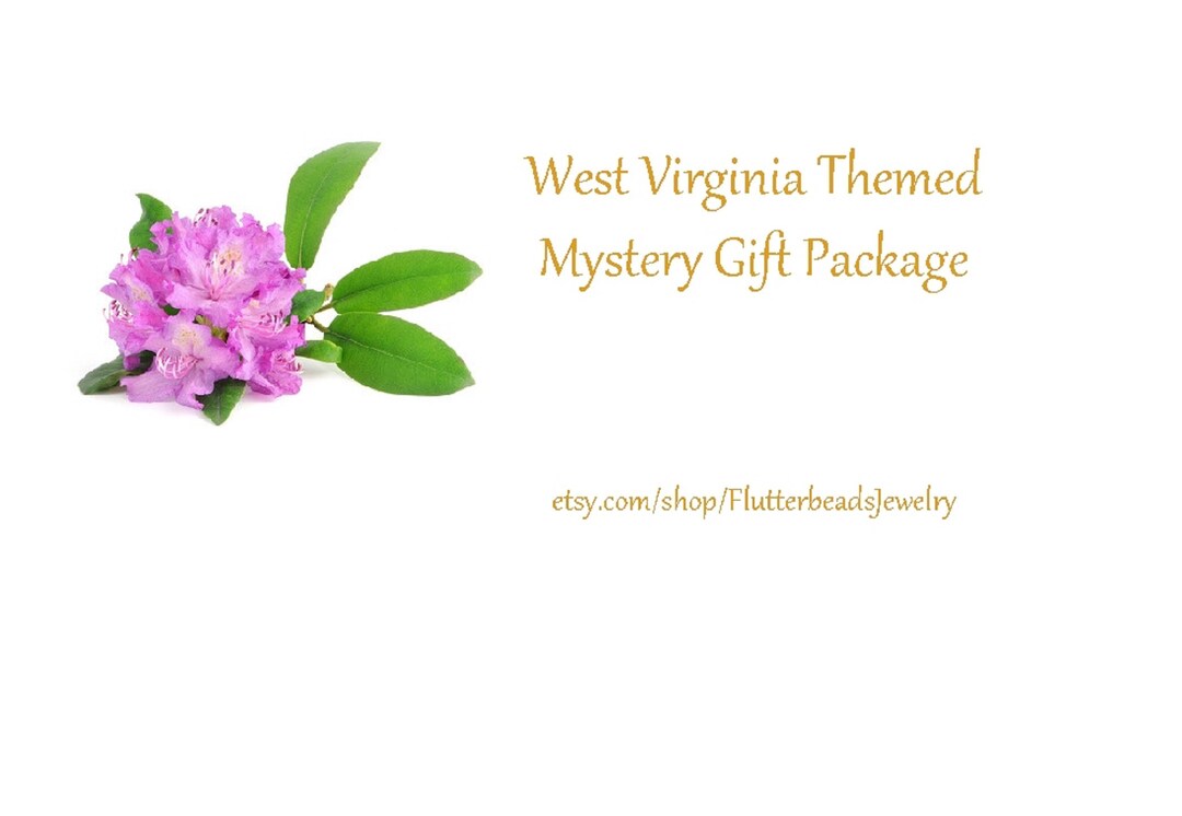 West Virginia Themed Mystery Package, Mixed Items, Necklaces, Charms ...