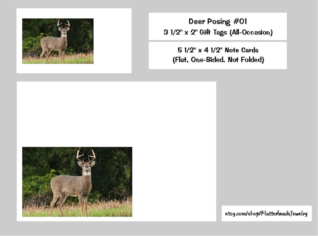 Deer Posing Set 01 Flat Note Cards, Gift Tags, Deer, Doe, Birthday ...
