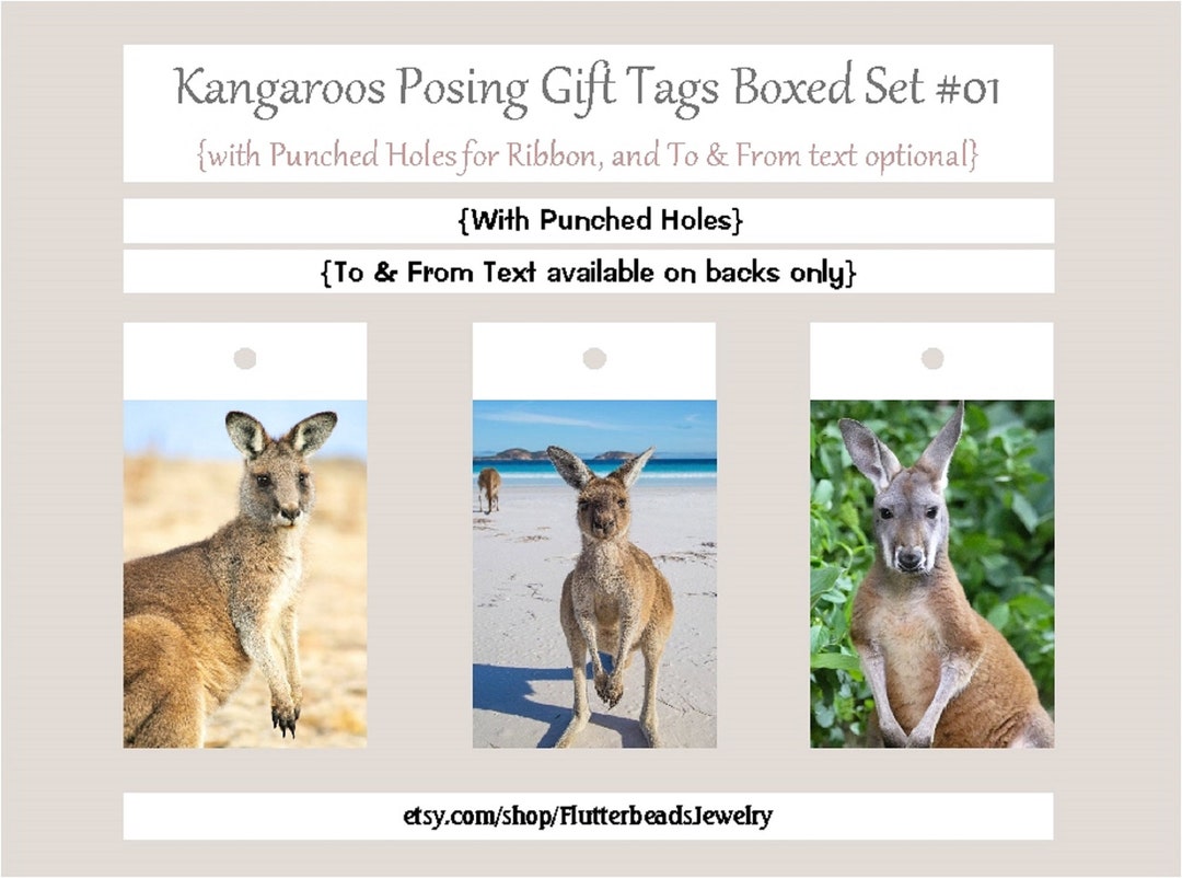 Kangaroos Posing Gift Tags Set 01, Boxed Set of 3 Designs, Birthdays ...