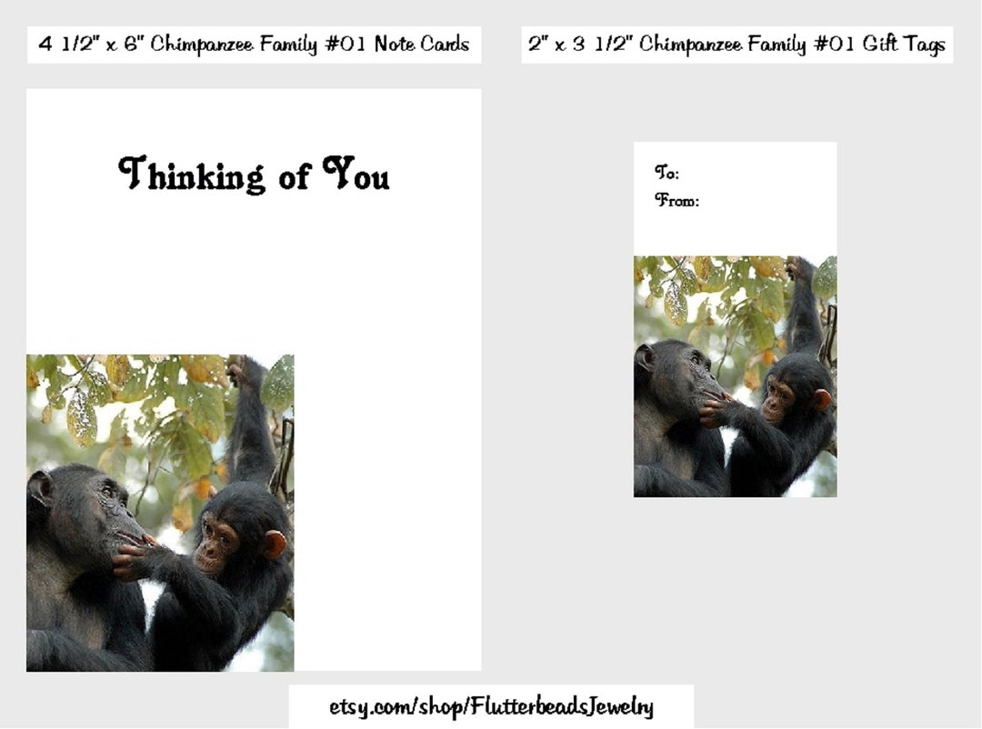 Chimpanzee Family Set 01 Flat Note Cards, Gift Tags, 4x4 3/4 Prints ...