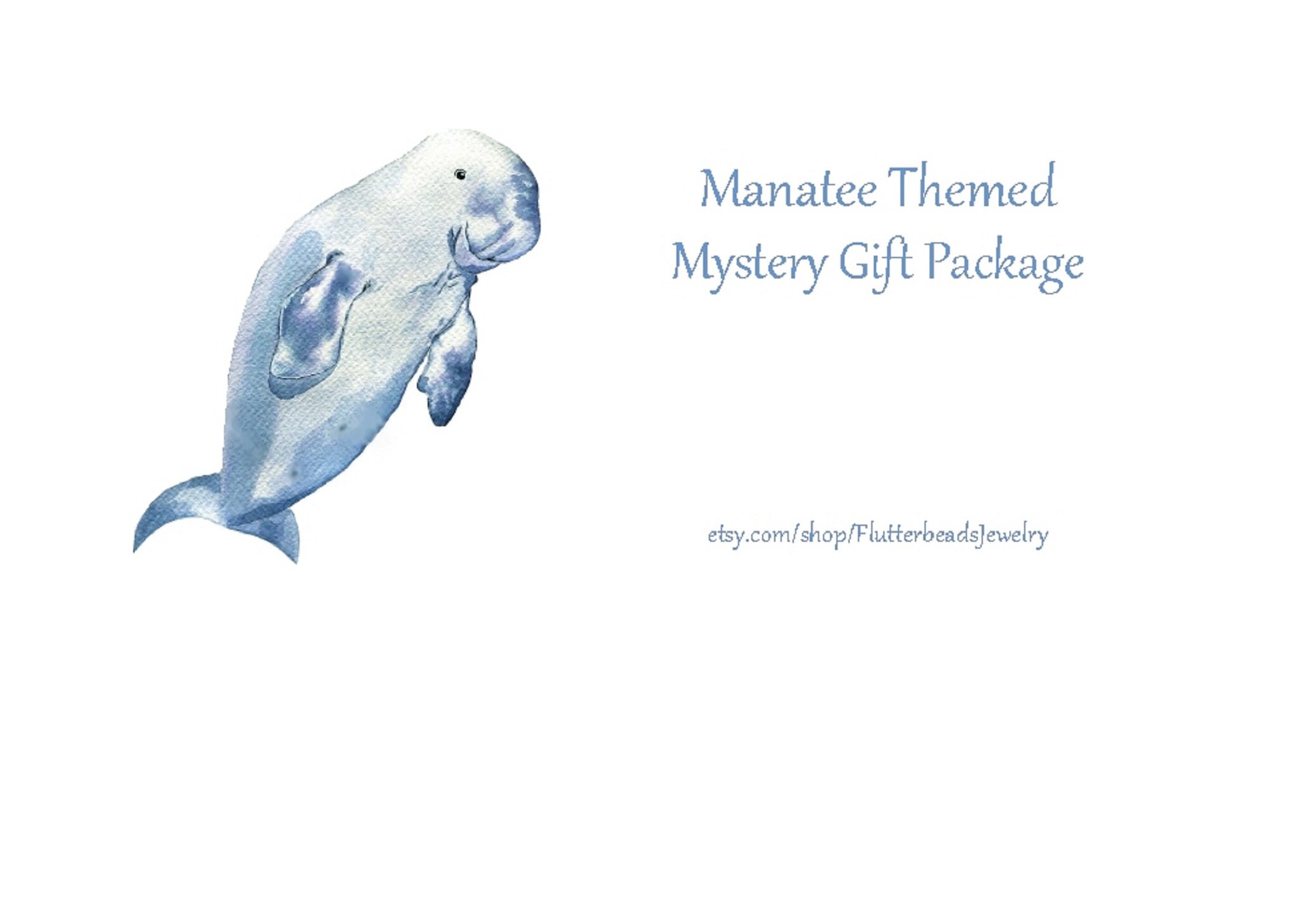 Manatee Themed Mystery Package, Sea Cow, Dugong, Mixed Items, Necklaces ...