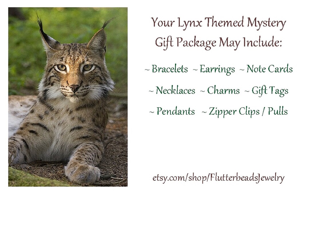 Lynx Themed Mystery Package, Mixed Items, Surprises, Gift Tags, Note ...