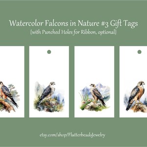 Watercolor Falcons in Nature Gift Tags #3, Four Beautiful Watercolor ...