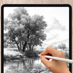 Procreate Brushes: Natural Sketch, 18 Realistic Pencil Brushes for ...