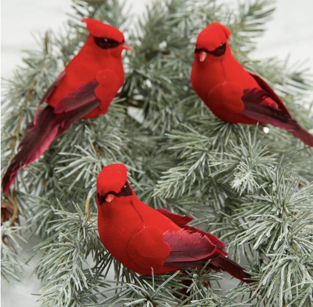 Add a Festive Touch With Red Artificial Cardinals With Clips. Pack of ...