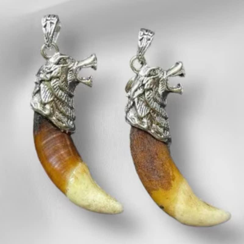 Real Wolf Tooth Necklace - Etsy