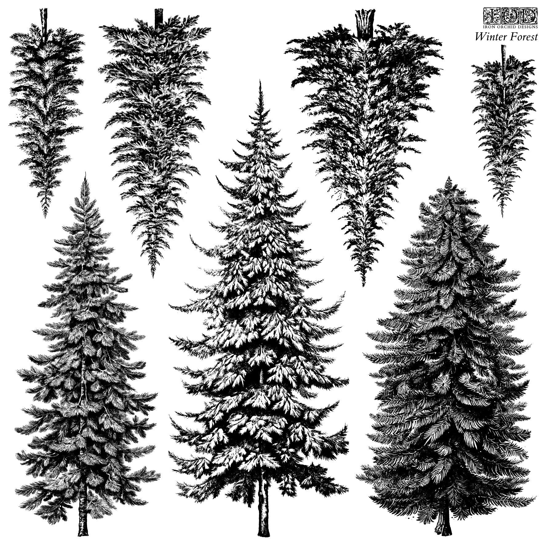 NEW Winter Forest IOD Decor Stamp™ - Etsy