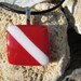 TWO (2) Fused Glass DIVE FLAG Pendants W Adjustable Black Leather Cord ...