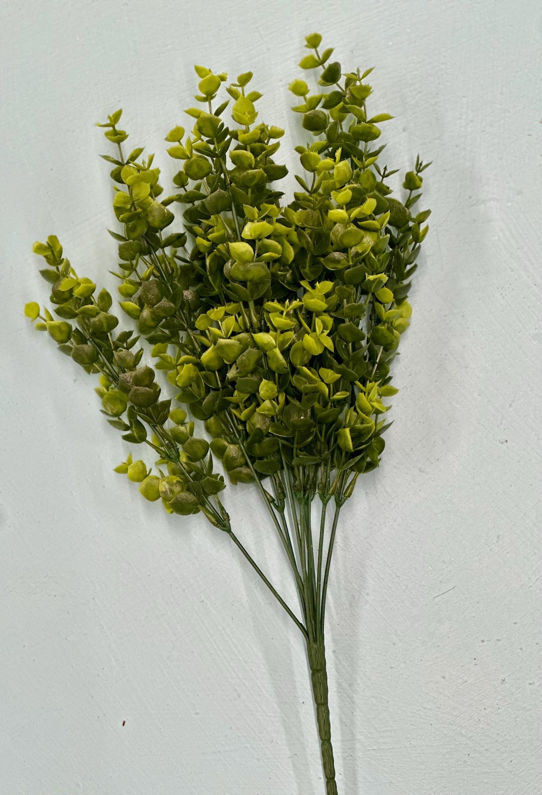 Eucalyptus Grass | Bead Grass Style Bushes | Bulk Bundle | Wreathmaking ...