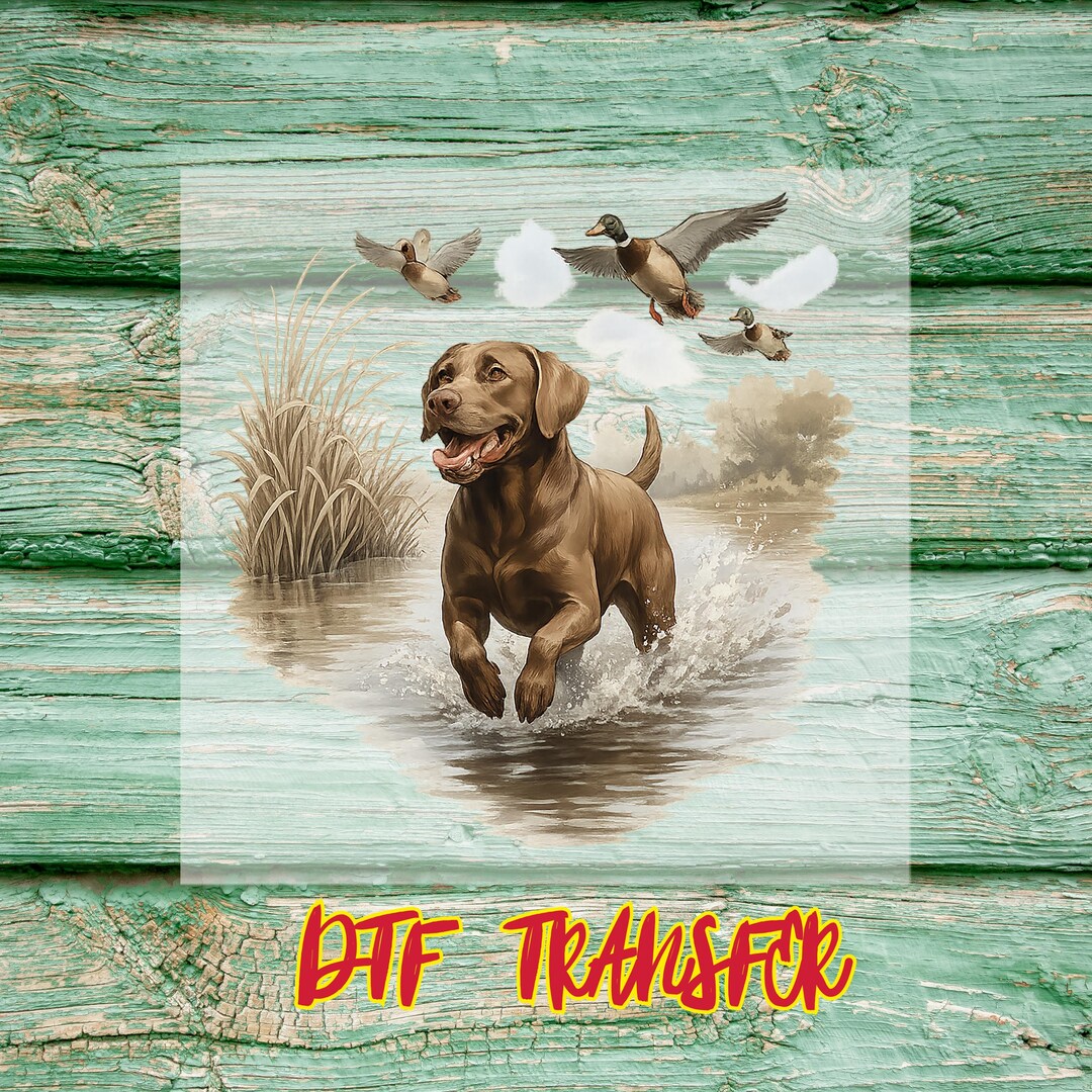Hunting Dog DTF Transfer, Ready to Press Labrador Retriever With Ducks, Waterfowl Hunting Scene ...