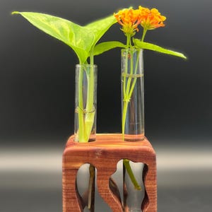 Handmade Cedar Wood Plant Propagation Station With Glass Tubes - Etsy