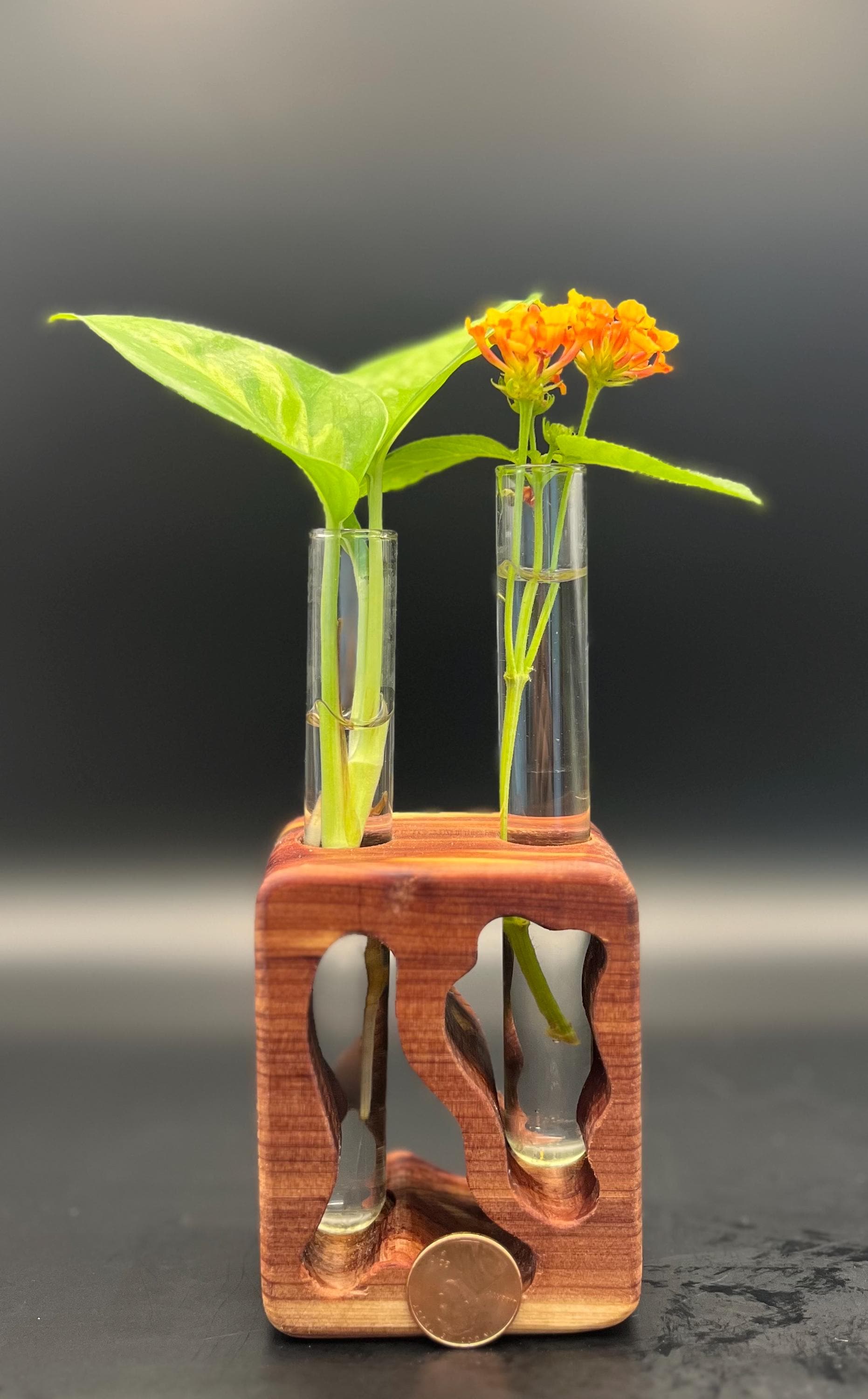 Handmade Cedar Wood Plant Propagation Station With Glass Tubes - Etsy