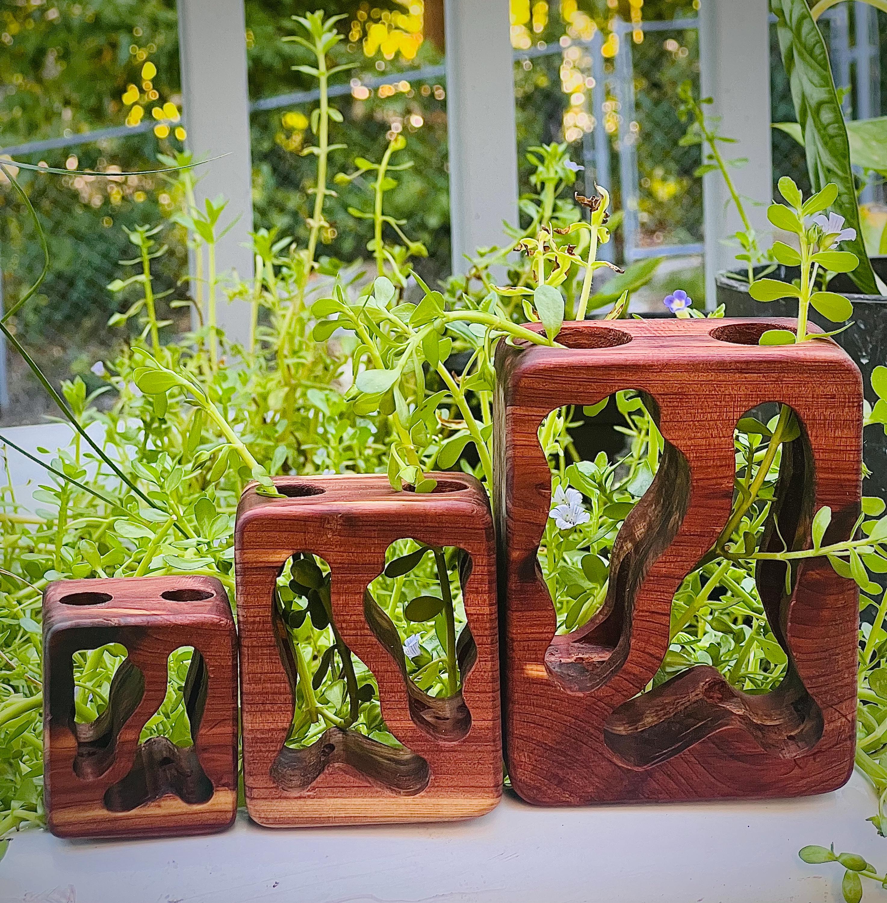 Handmade Cedar Wood Plant Propagation Station With Glass Tubes - Etsy