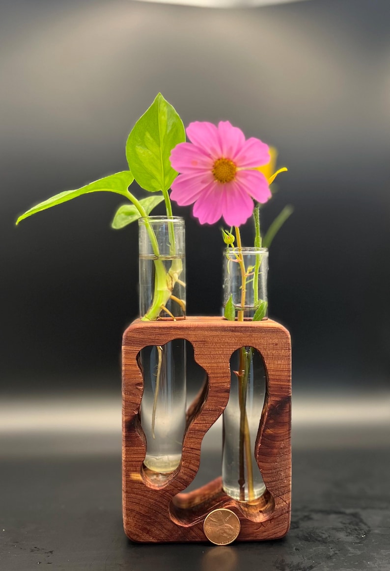 Handmade Cedar Wood Plant Propagation Station With Glass Tubes - Etsy