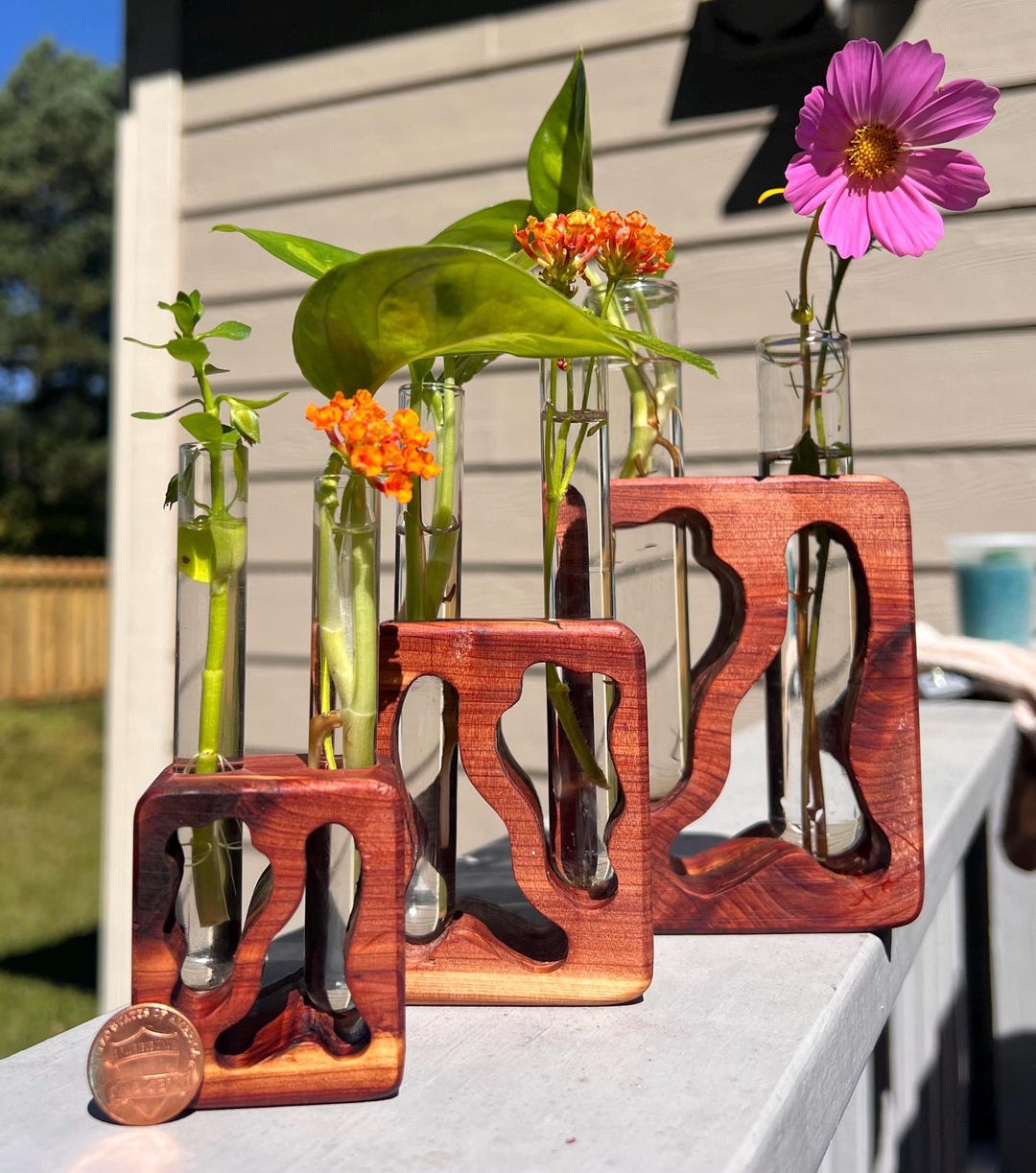 Handmade Cedar Wood Plant Propagation Station With Glass Tubes - Etsy