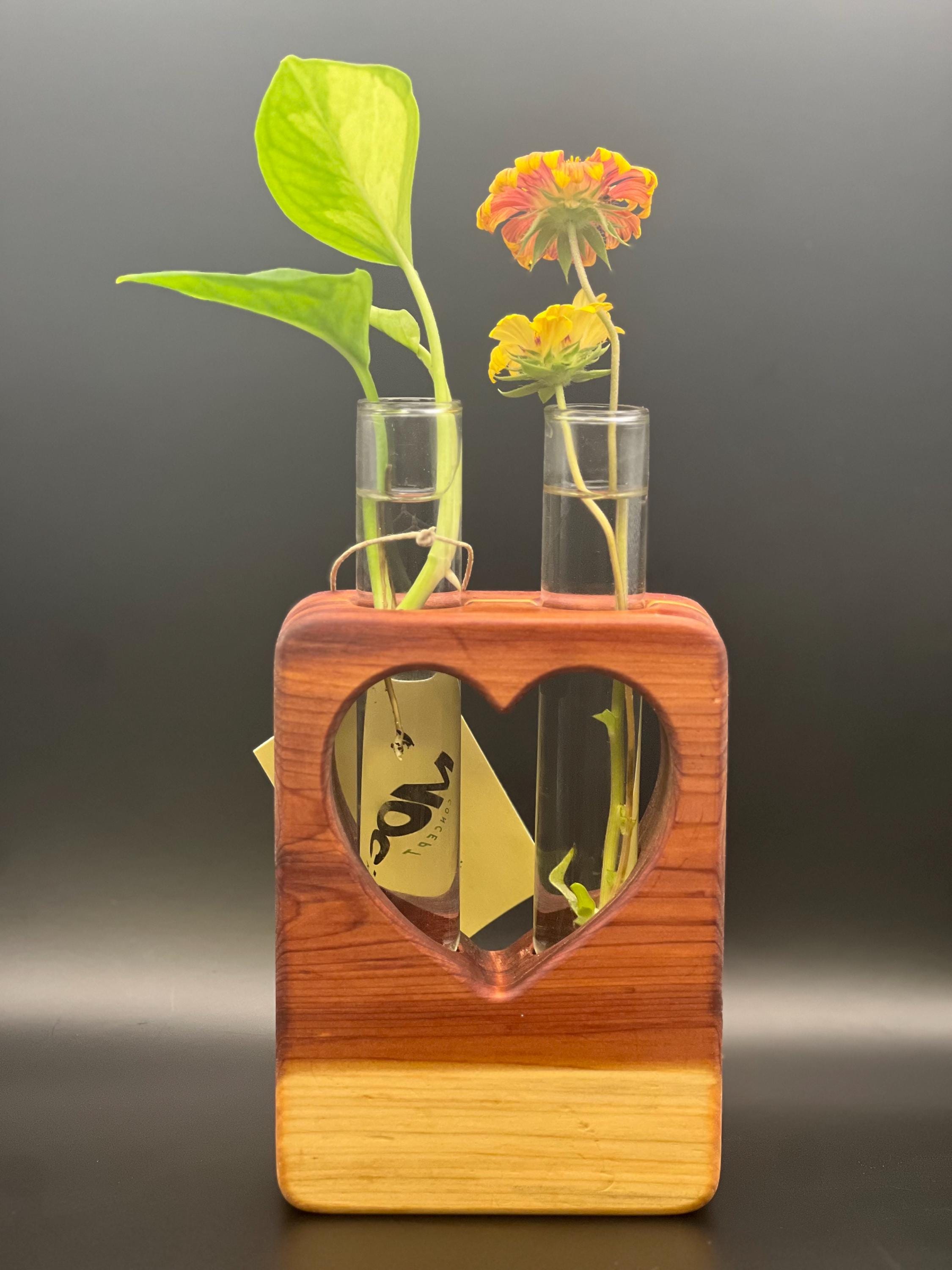 Wood Plant Station/ Plant Propagation/ Solid Wood Propagation - Etsy